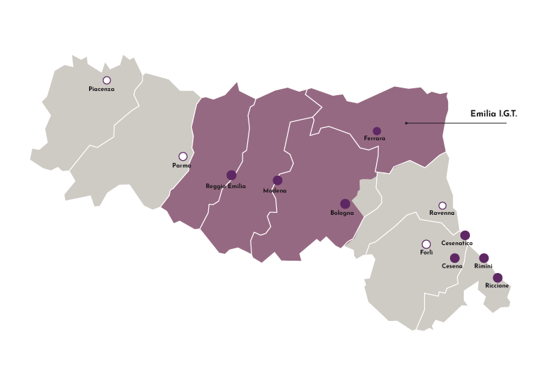 Lambrusco Archivi - Terre Cevico